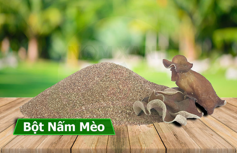 Bột Nấm là gì? Bột Nấm có thể dùng thay thế bột nêm hay bột ngọt không?