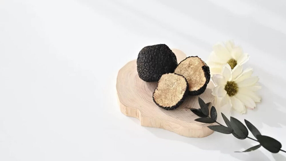 Nấm Truffle là gì? Giá bao nhiêu? Mua ở đâu? Có tác dụng gì?